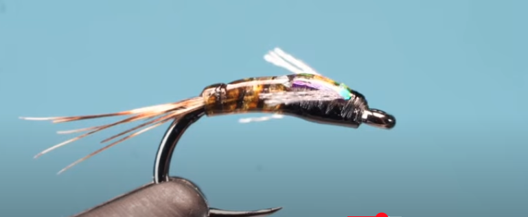 Step by Step Guide: Fly Tying for Beginners JuJu Baetis Nymph — Fly Life Media